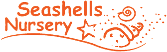 seashell | Dubai Healthcare Guide